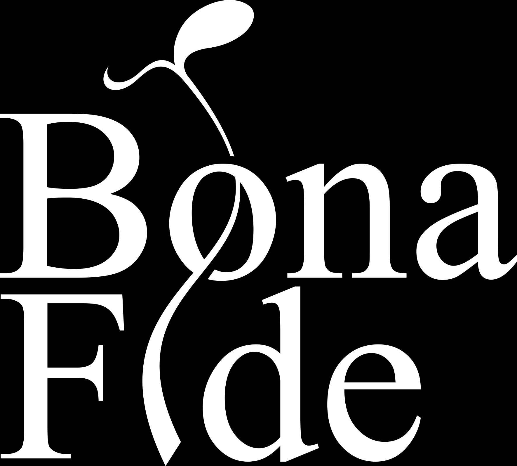 Bona fide » Dotacja
